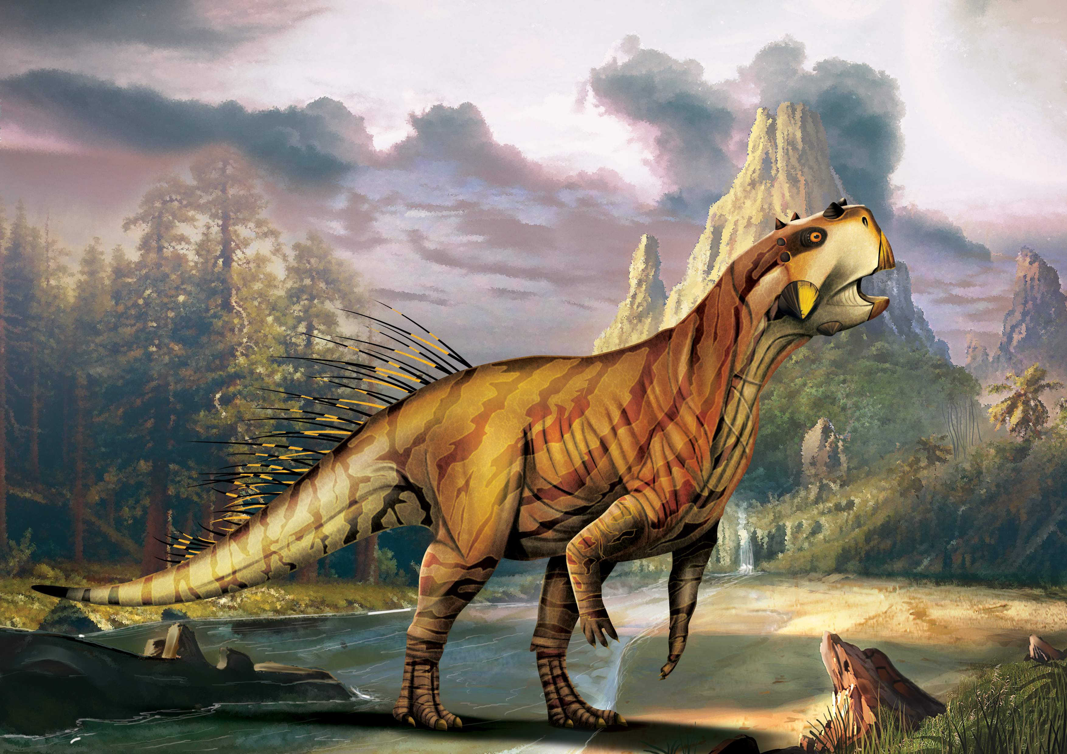 Home [illustration.qbslearning.com]