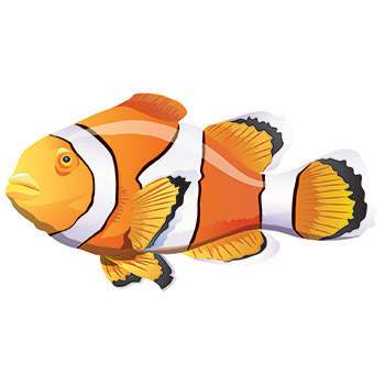 Home [illustration.qbslearning.com]