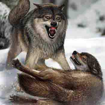 Home [illustration.qbslearning.com]