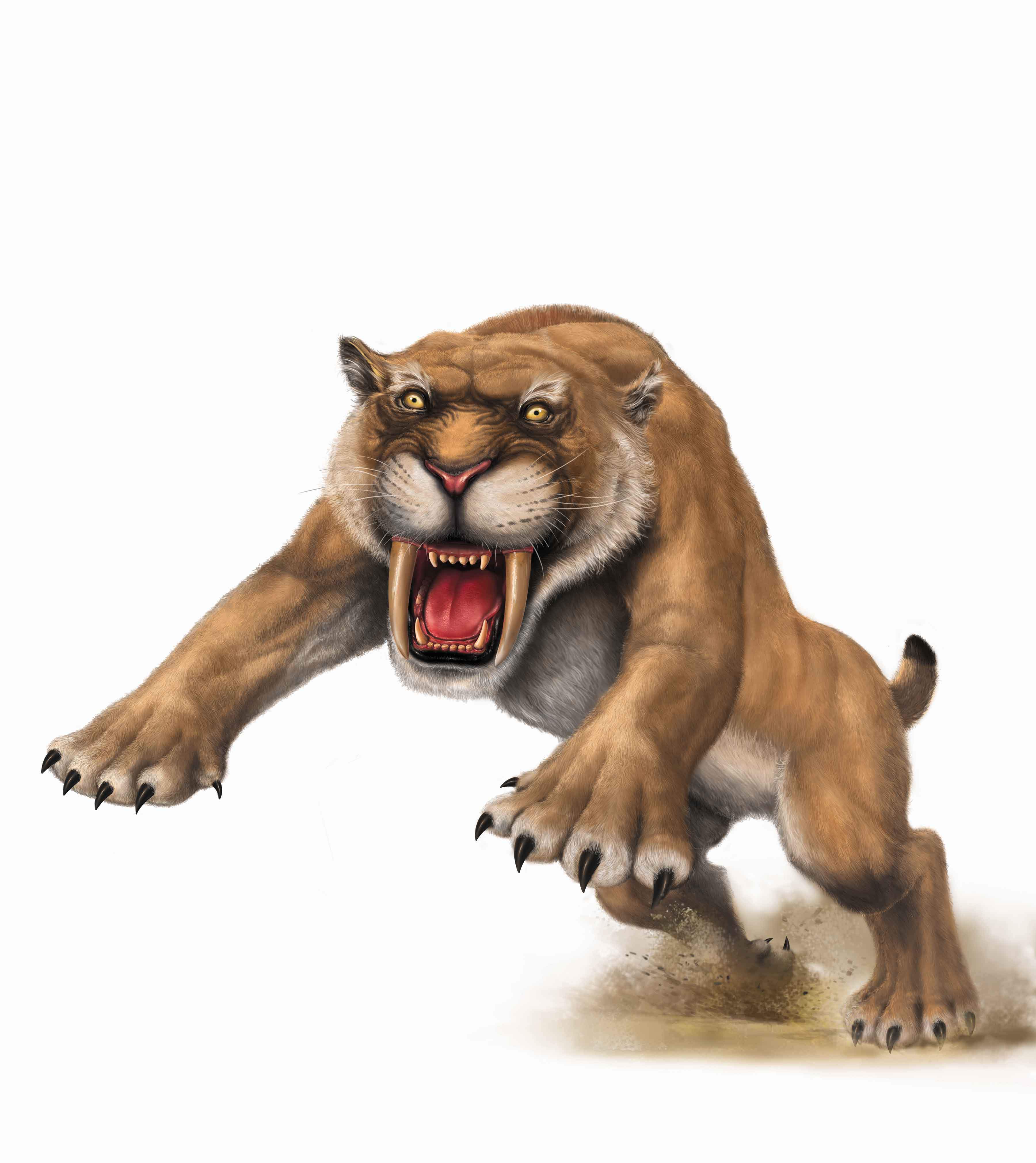 Home [illustration.qbslearning.com]