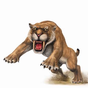 Home [illustration.qbslearning.com]