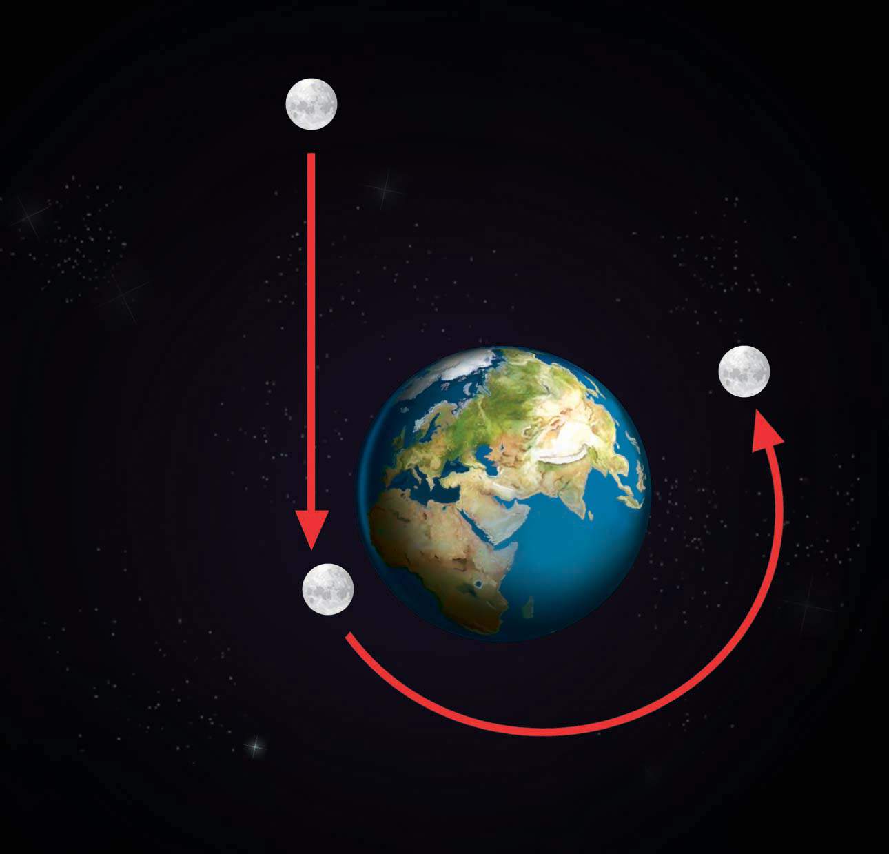 Home [illustration.qbslearning.com]